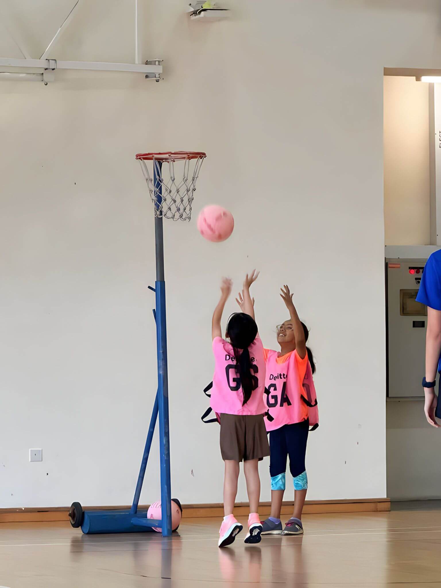 Programs - Charmaine Netball Academy Charmaine Netball Academy Programs - Excellence in Every Pla